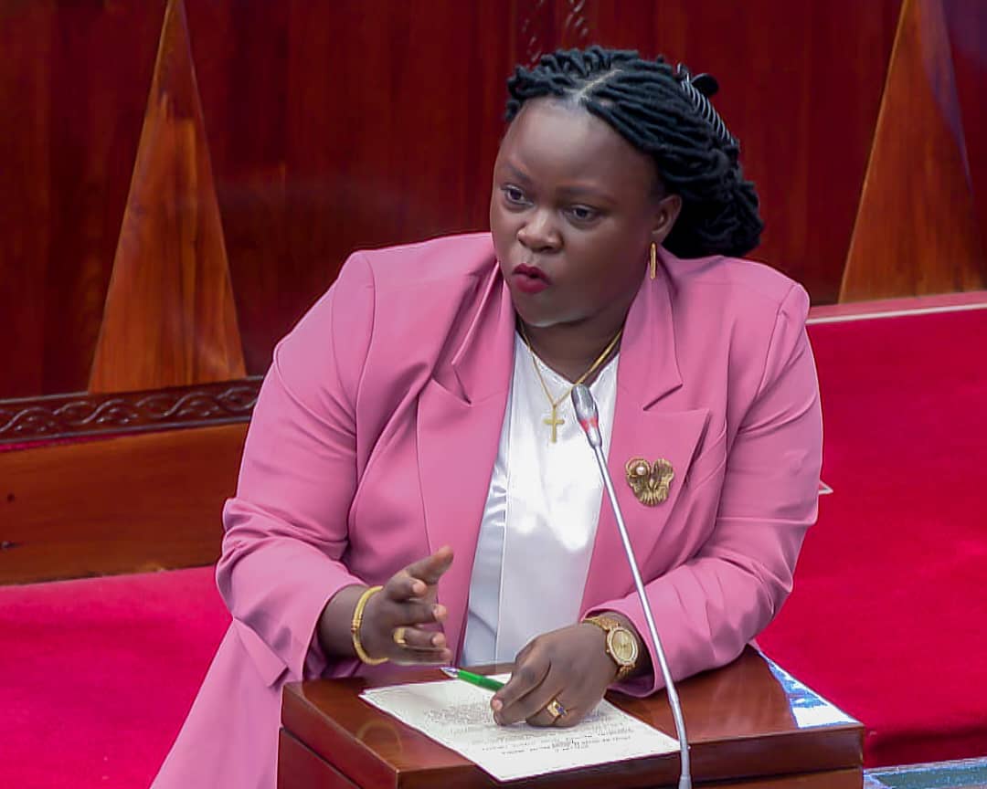 VIJIJI VYOTE NEWALA VIMEFIKIWA NA UMEME - KAPINGA - LAJIJI MEDIA